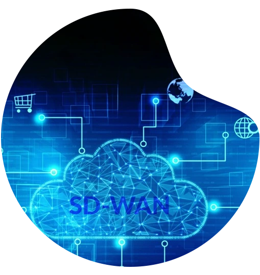 SD Wan Service Provider – Complete Networking Solution
